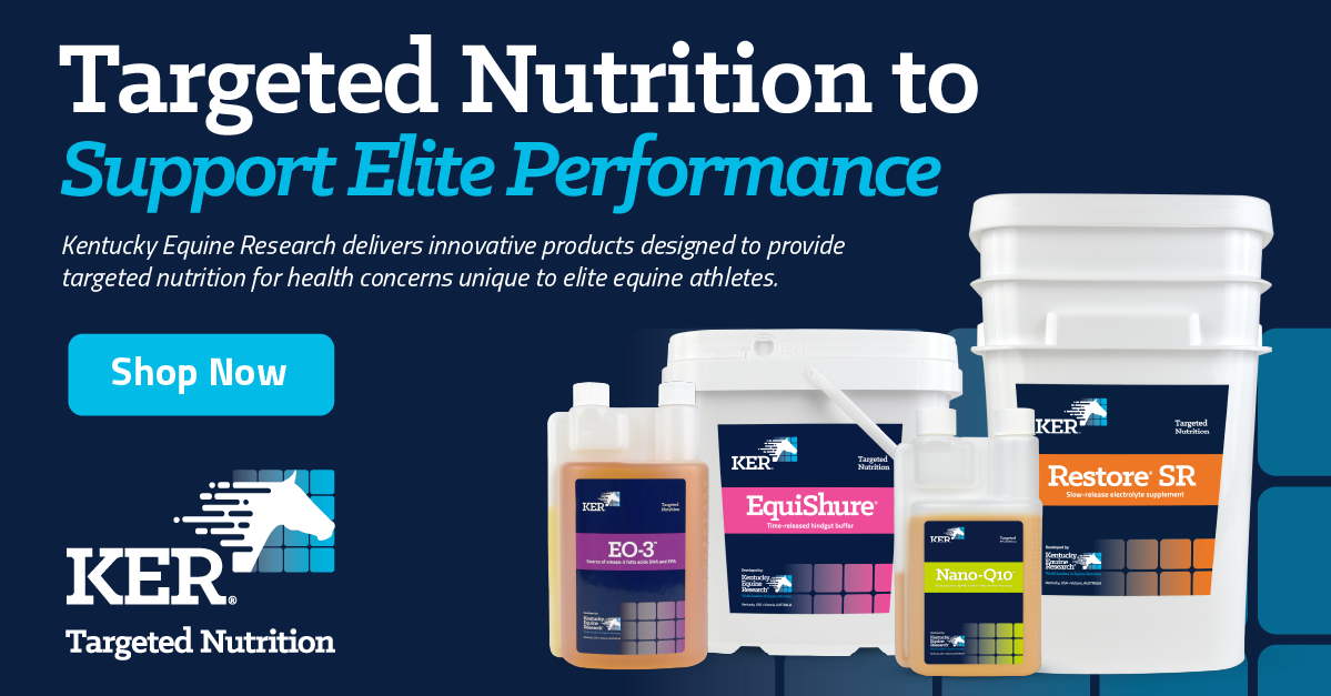 Biological structure of a horse – the build and anatomy - The Plaid ...