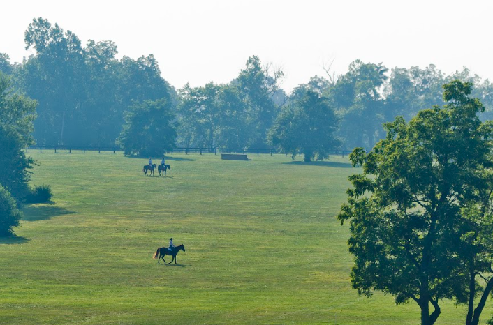 The Benefits of Trail Riding for Any Discipline - The Plaid Horse Magazine