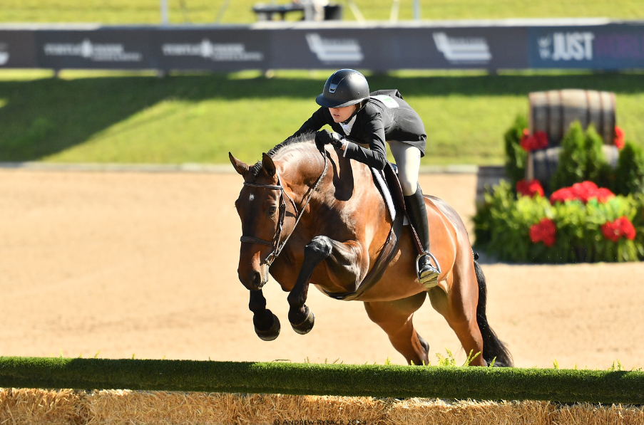 Gigi Phillips: Beyond the Ring - The Plaid Horse Magazine