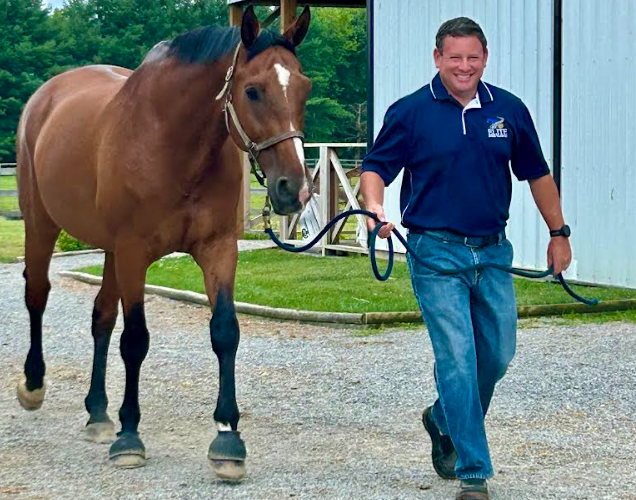 Elite Horse Transport Celebrates Their 20 Year Anniversary - The Plaid ...