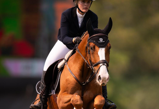 Deister Z: The Unlikely Journey of a Sport Horse from Greece - The ...