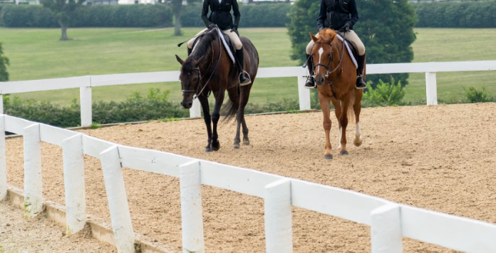 The Problem with Equestrians and Social Media - The Plaid Horse Magazine
