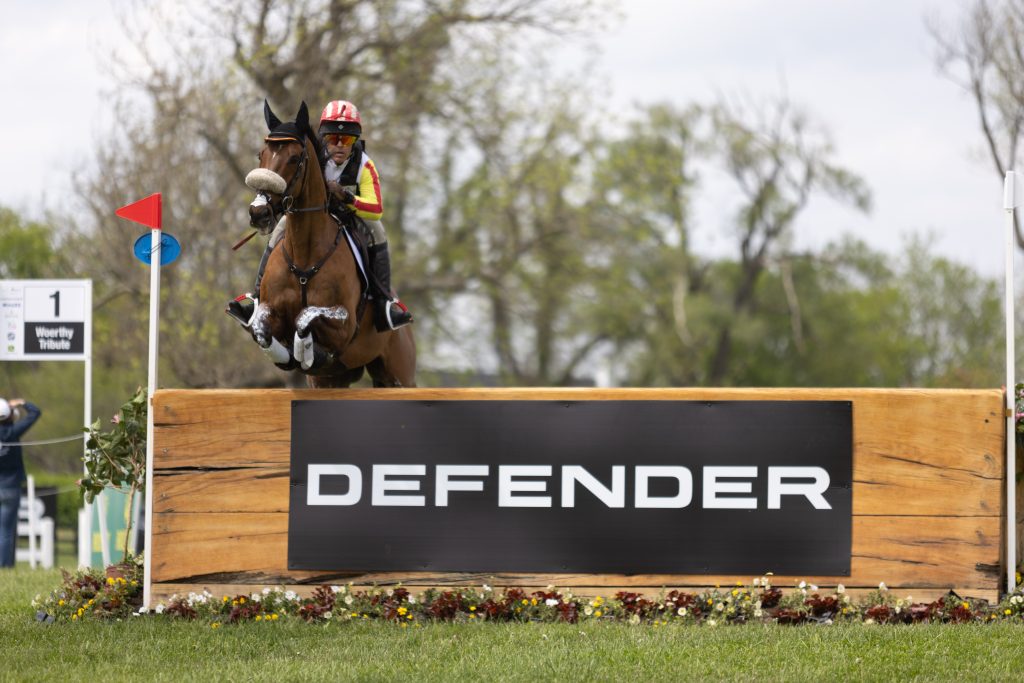 FLAIR Equine Nasal Strips: Improving Equine Athletes’ Airflow ...