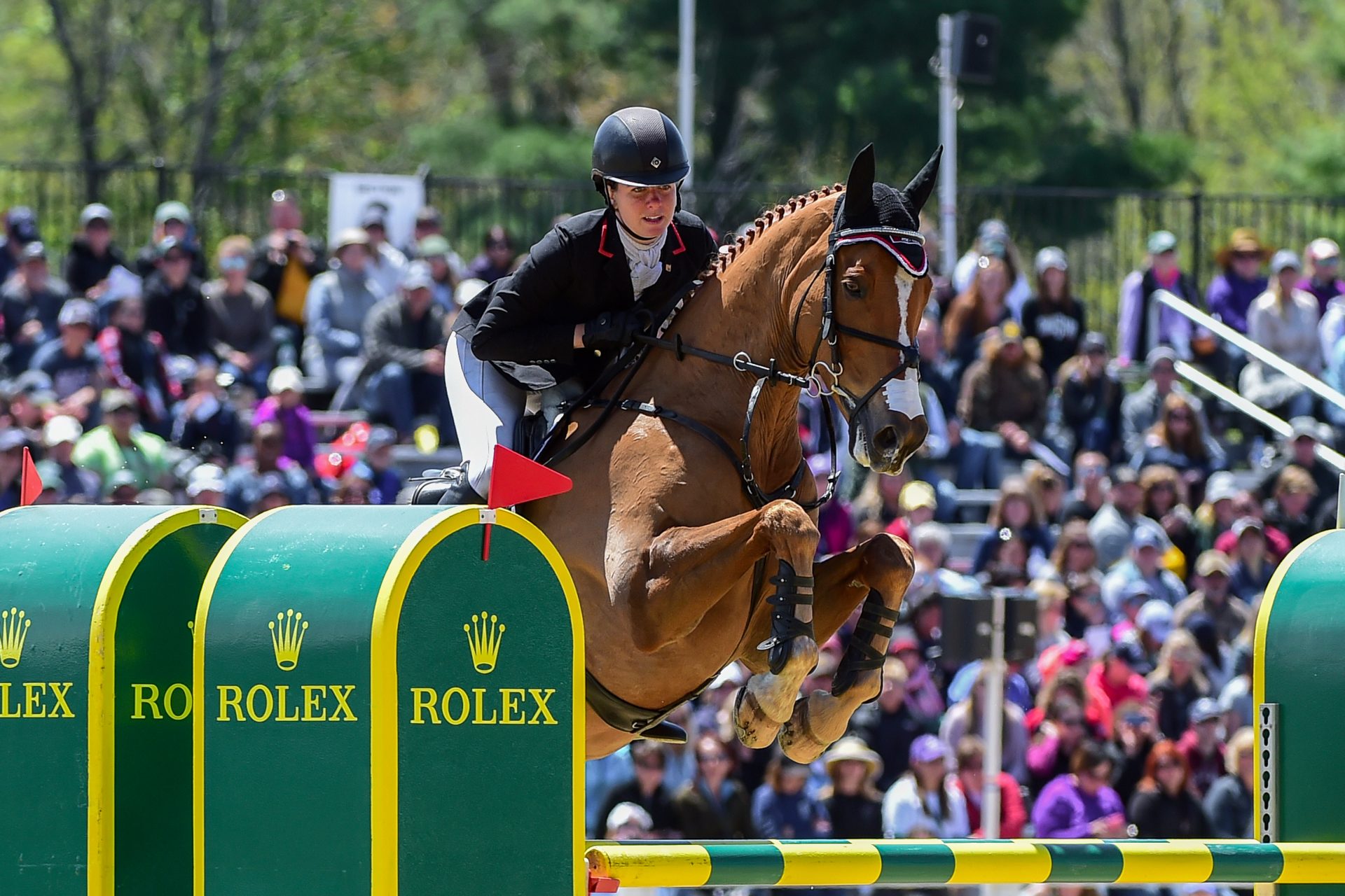 FLAIR Equine Nasal Strips: Improving Equine Athletes’ Airflow ...