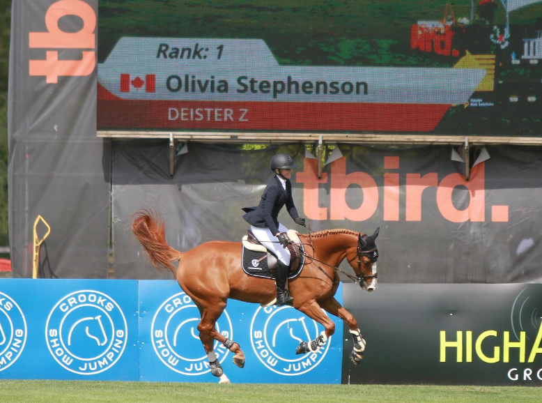 Deister Z: The Unlikely Journey of a Sport Horse from Greece - The ...