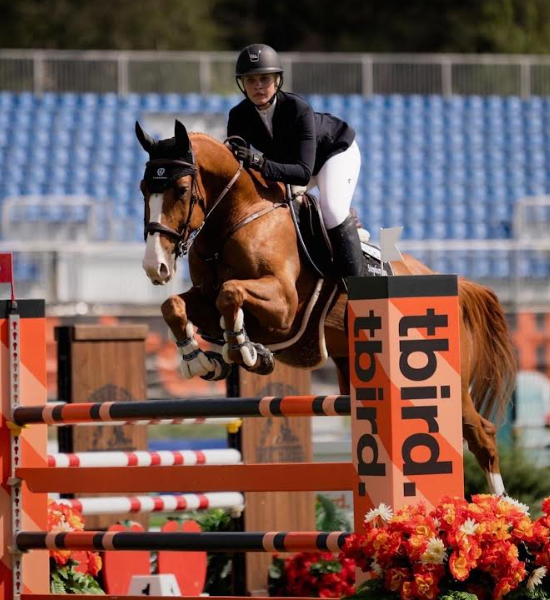 Deister Z: The Unlikely Journey of a Sport Horse from Greece - The ...