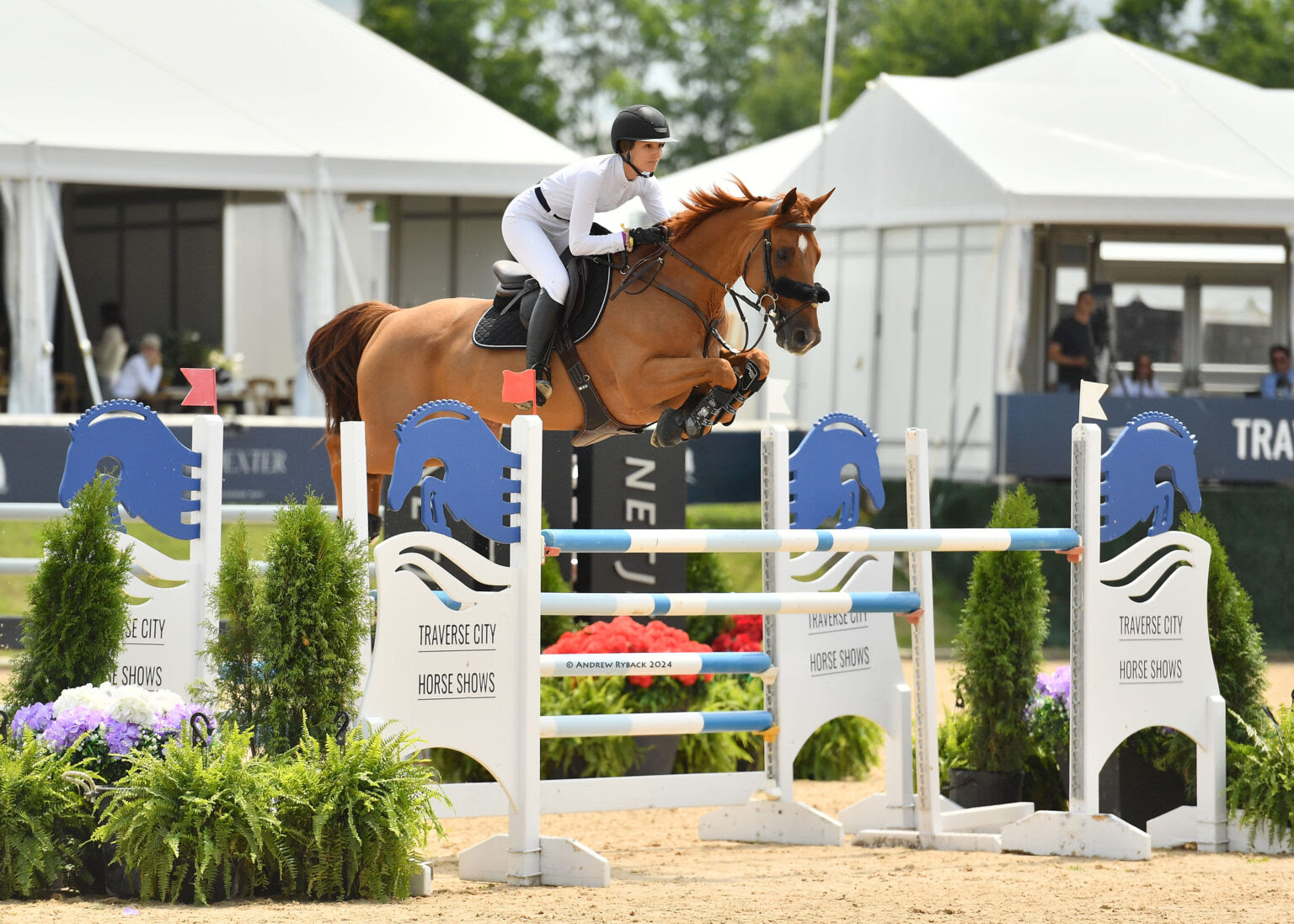 Charlotte Jacobs Back On Top in $32,000 CSI3* Two-Phase Aboard Rincoola ...