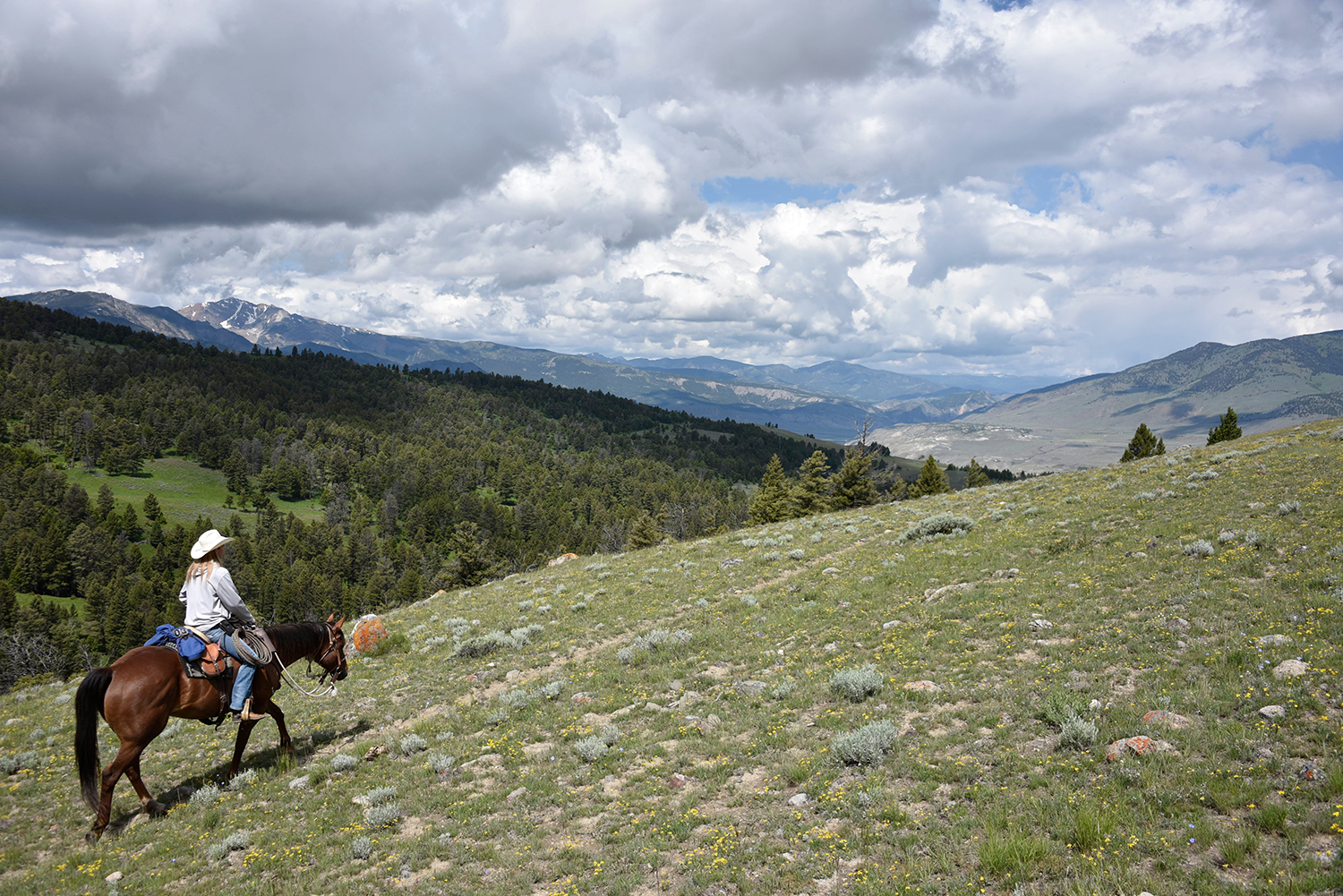 Active Riding Trips and True Ranch Collection: Cowgirl Up For a Good ...