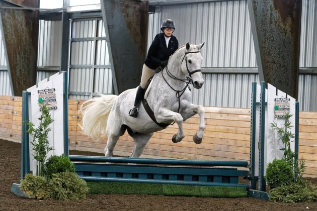 Finding Falcor: The History of a Unicorn - The Plaid Horse Magazine