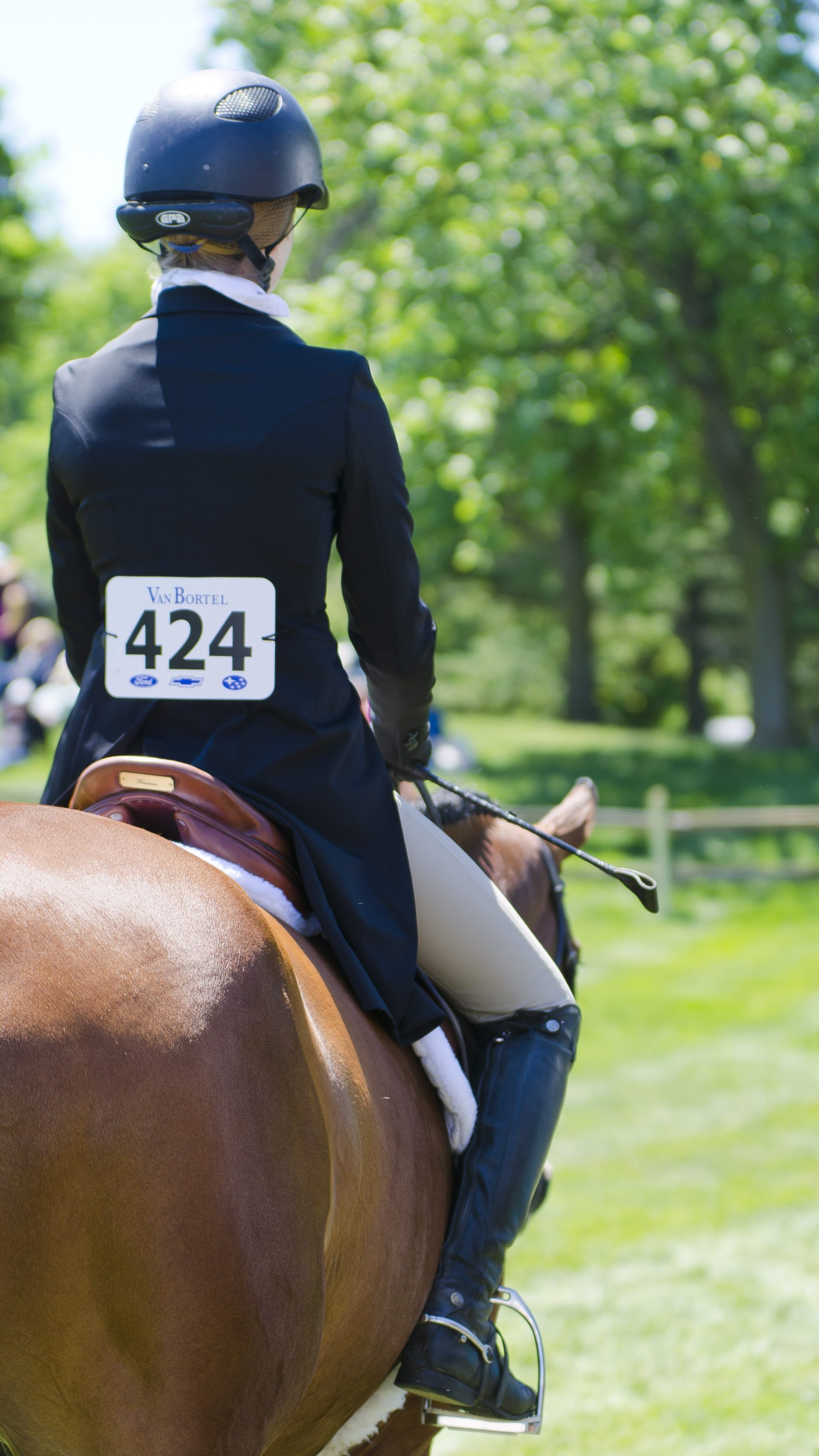 What You Need to Know About EPM - The Plaid Horse Magazine