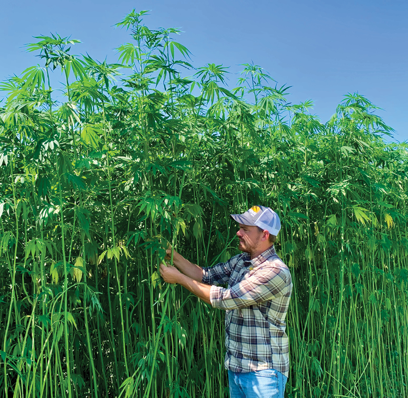 EQUIHEMP: Helping Horses Live Their Best Lives with Hemp-Based Products ...
