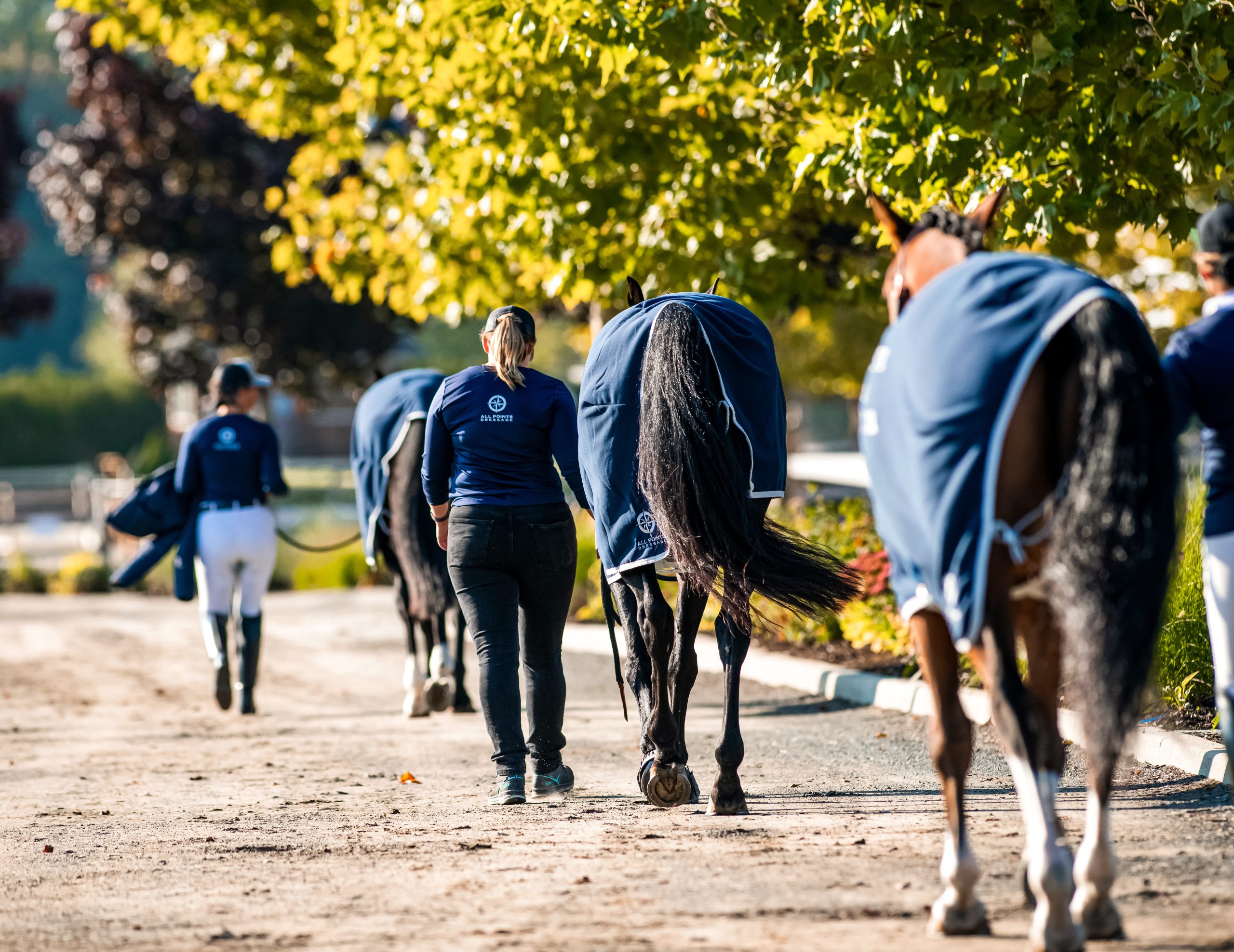 Promoting Events: Strategies for Success in the Equestrian Industry ...