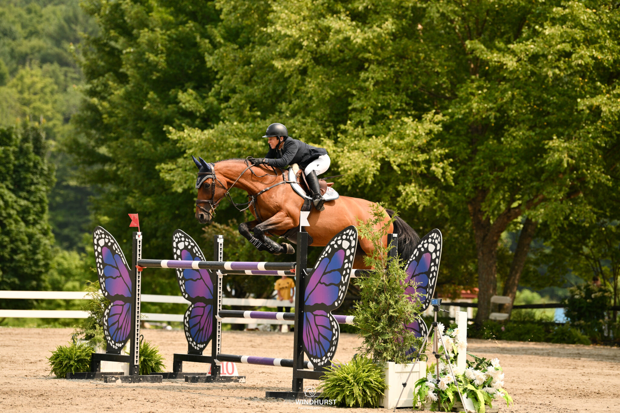 Marylisa Leffler and Zaza Z Are Victorious in the $30,000 Voltaire ...