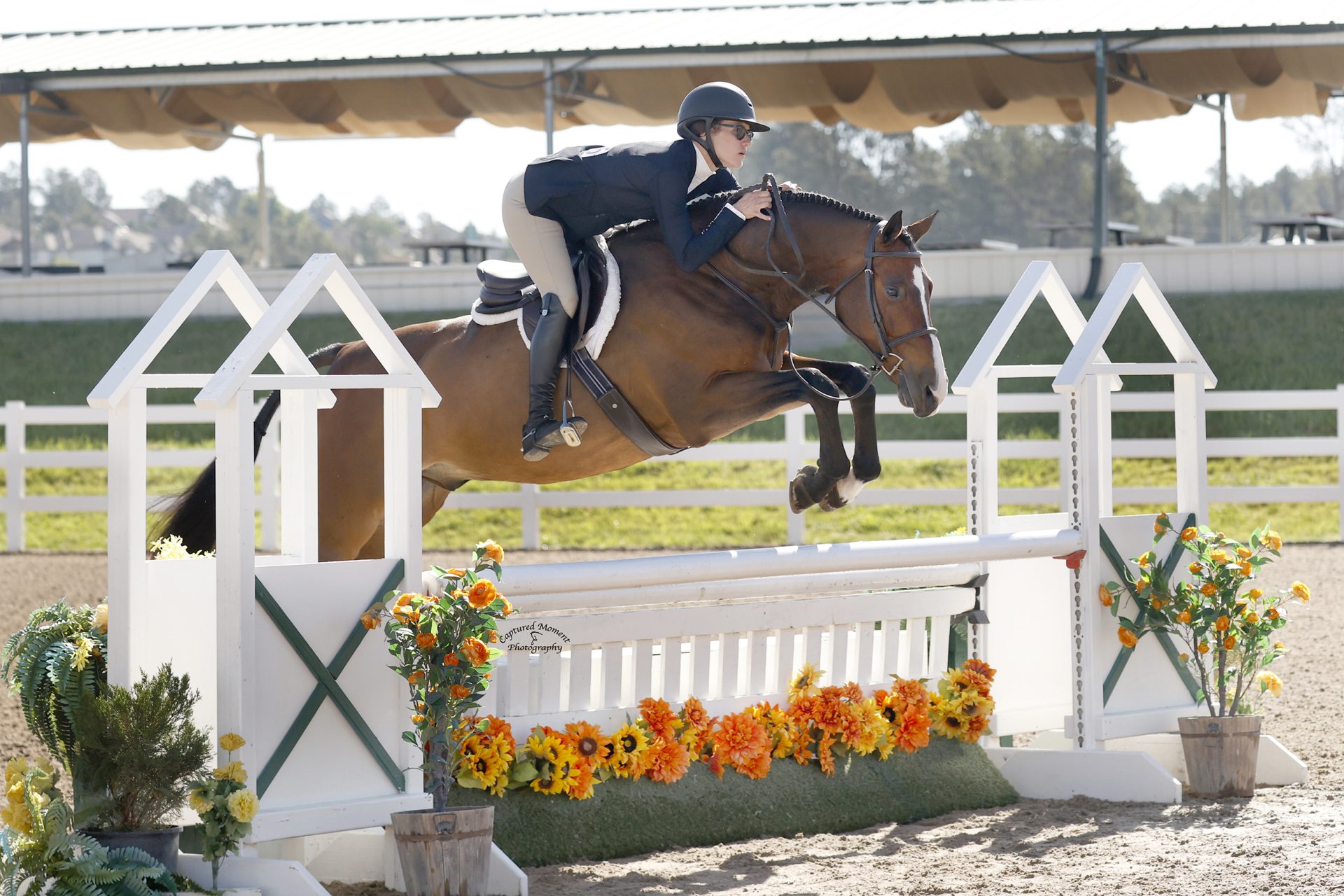 Front Range Show Stables: Claire Gordon-Neff Fosters a Caring Barn ...