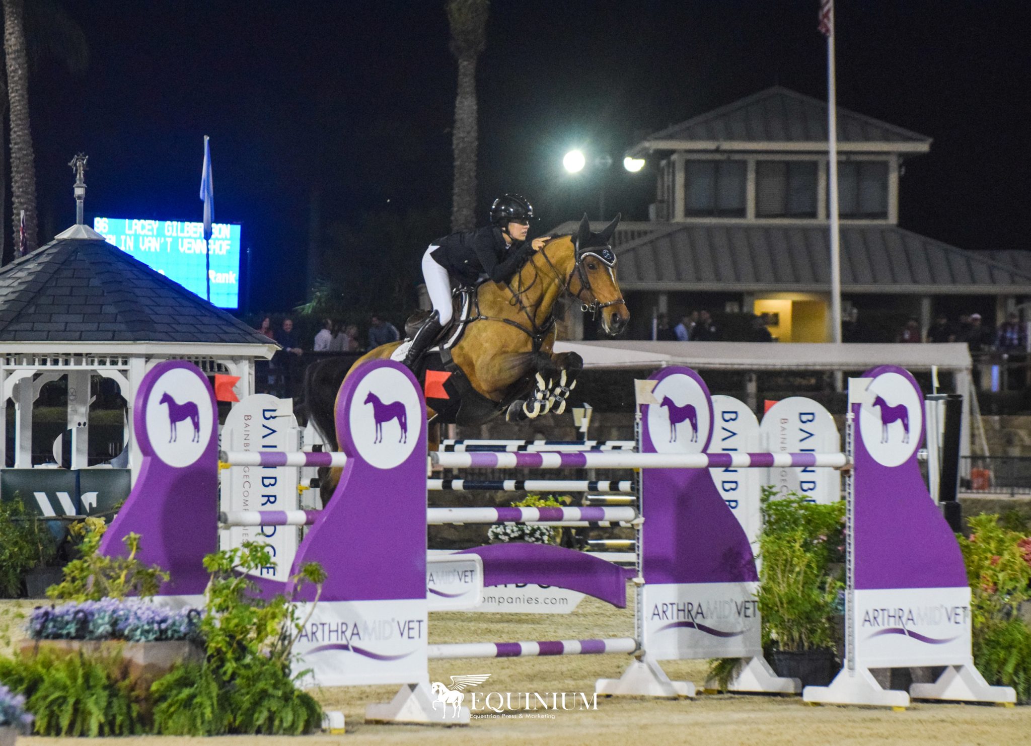 Arthramid: Improving Joint Health, One Horse at a Time - The Plaid ...