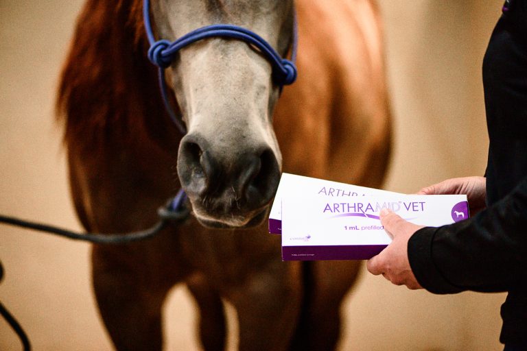 Arthramid: Improving Joint Health, One Horse at a Time - The Plaid ...