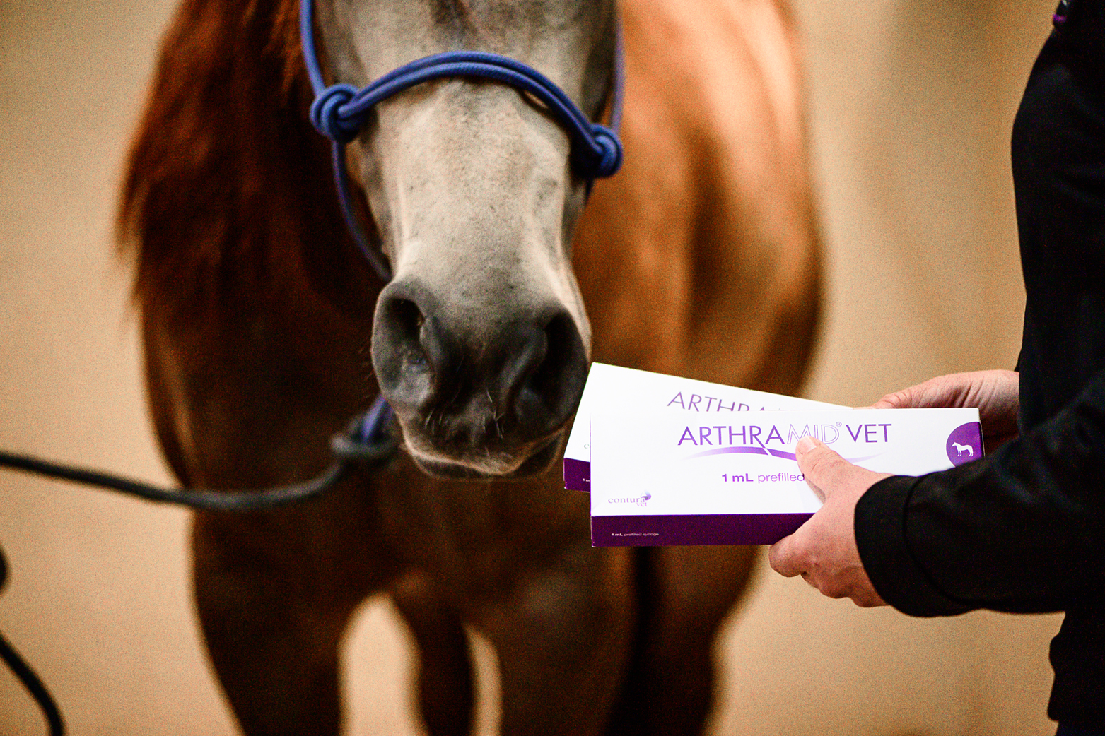 Arthramid: Improving Joint Health, One Horse at a Time - The Plaid ...