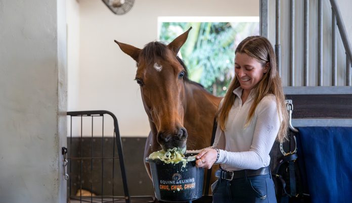 Equine Elixirs: How Top Riders Rely on Nutrition to Keep Their Horses ...