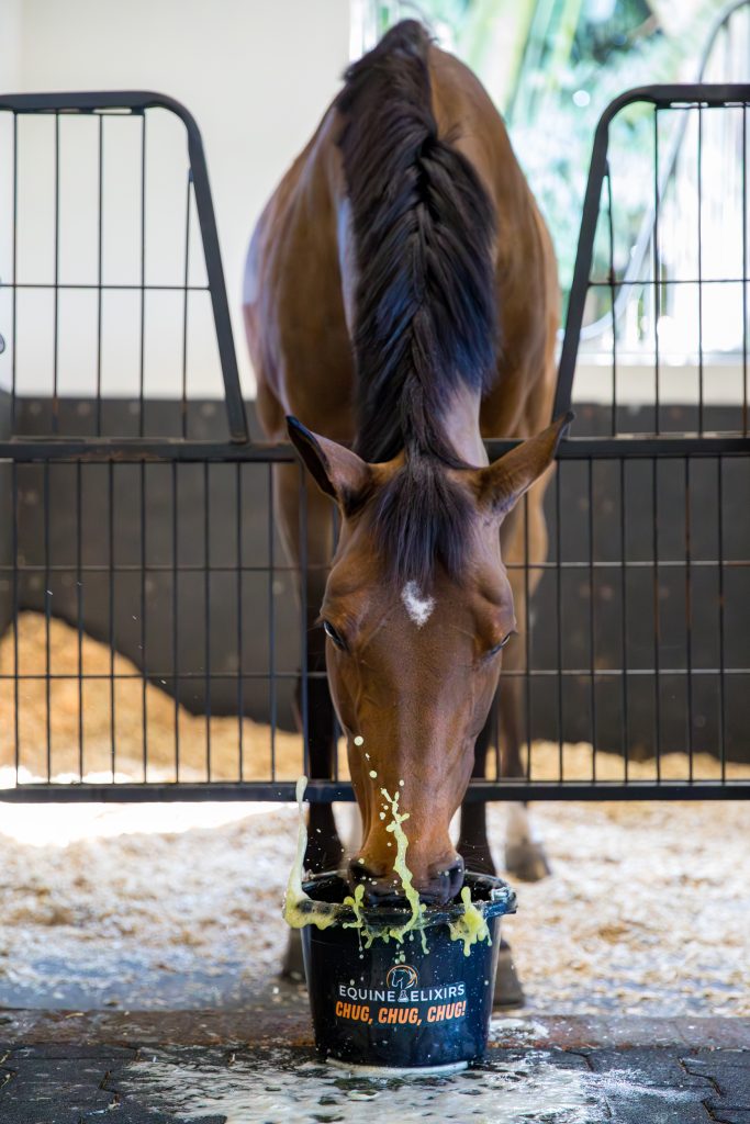 Equine Elixirs: How Top Riders Rely on Nutrition to Keep Their Horses ...