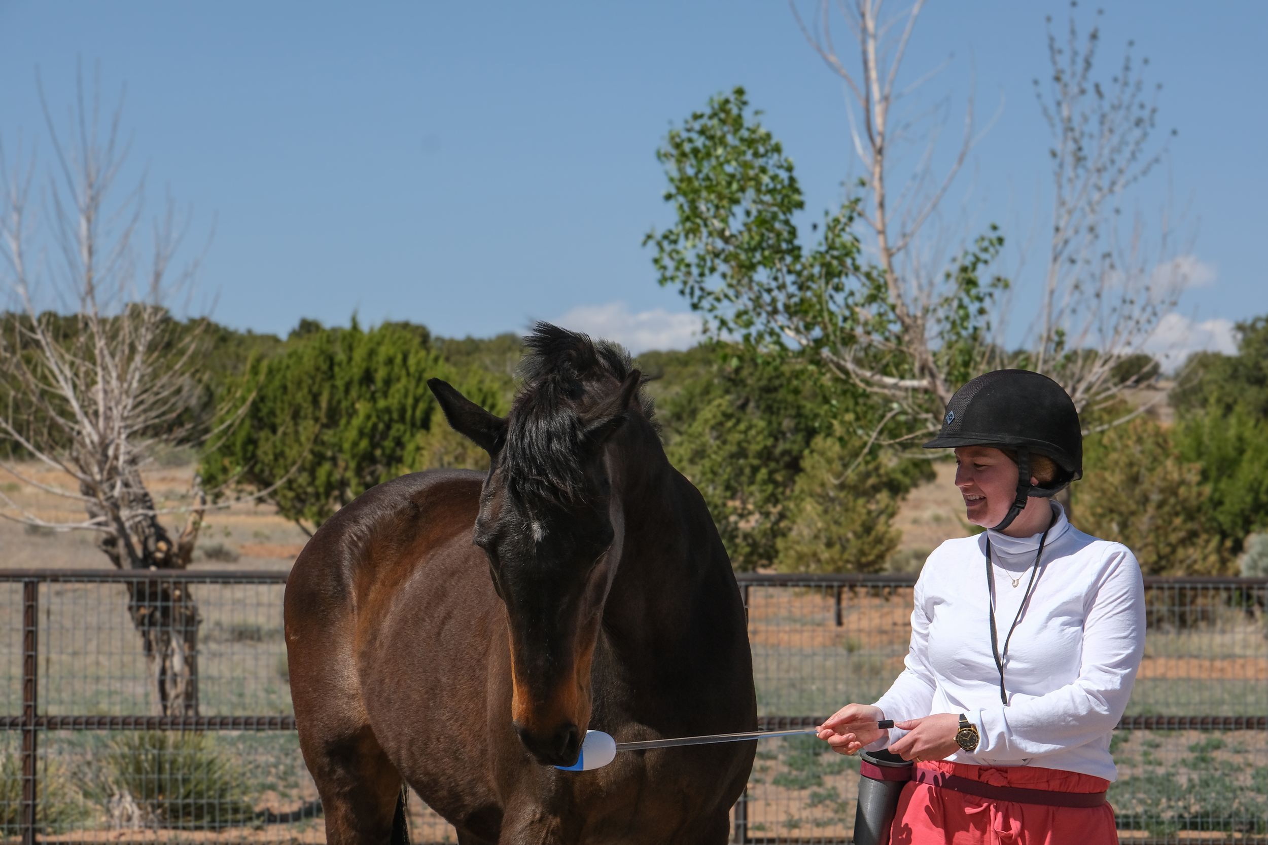 Publisher's Note: Every One of Us is a Horse Trainer - The Plaid Horse ...