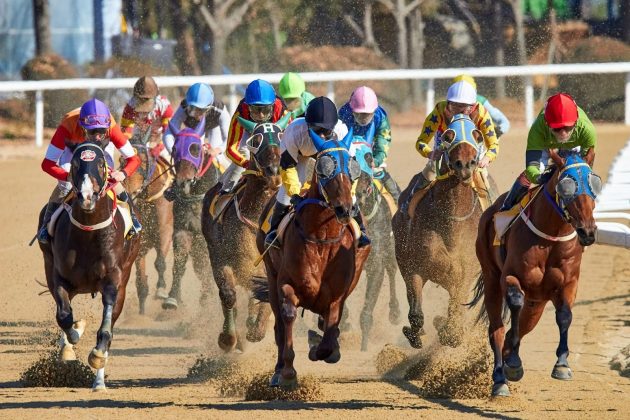 2025 Breeders’ Cup Classic: Ranking the Contenders for Racing ...