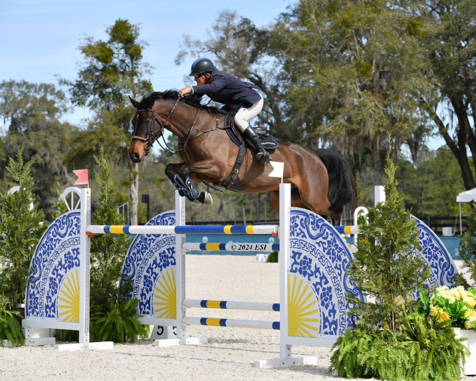 Wordley Martin Begins Phase Two of Renovations at HITS Ocala Post Time ...