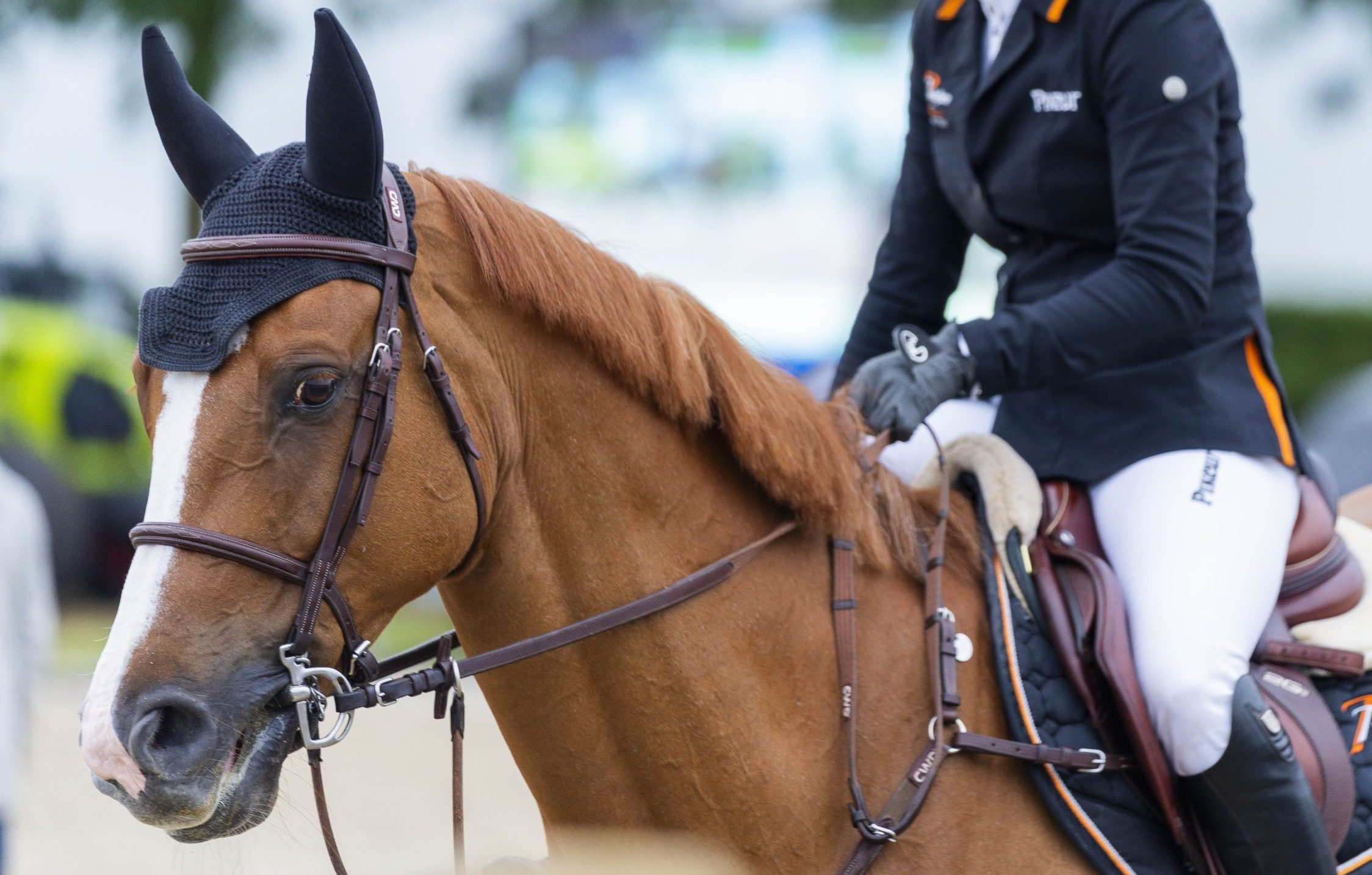 Anxious Athletes: How Do You Deal With High-Performance Horses? - The ...