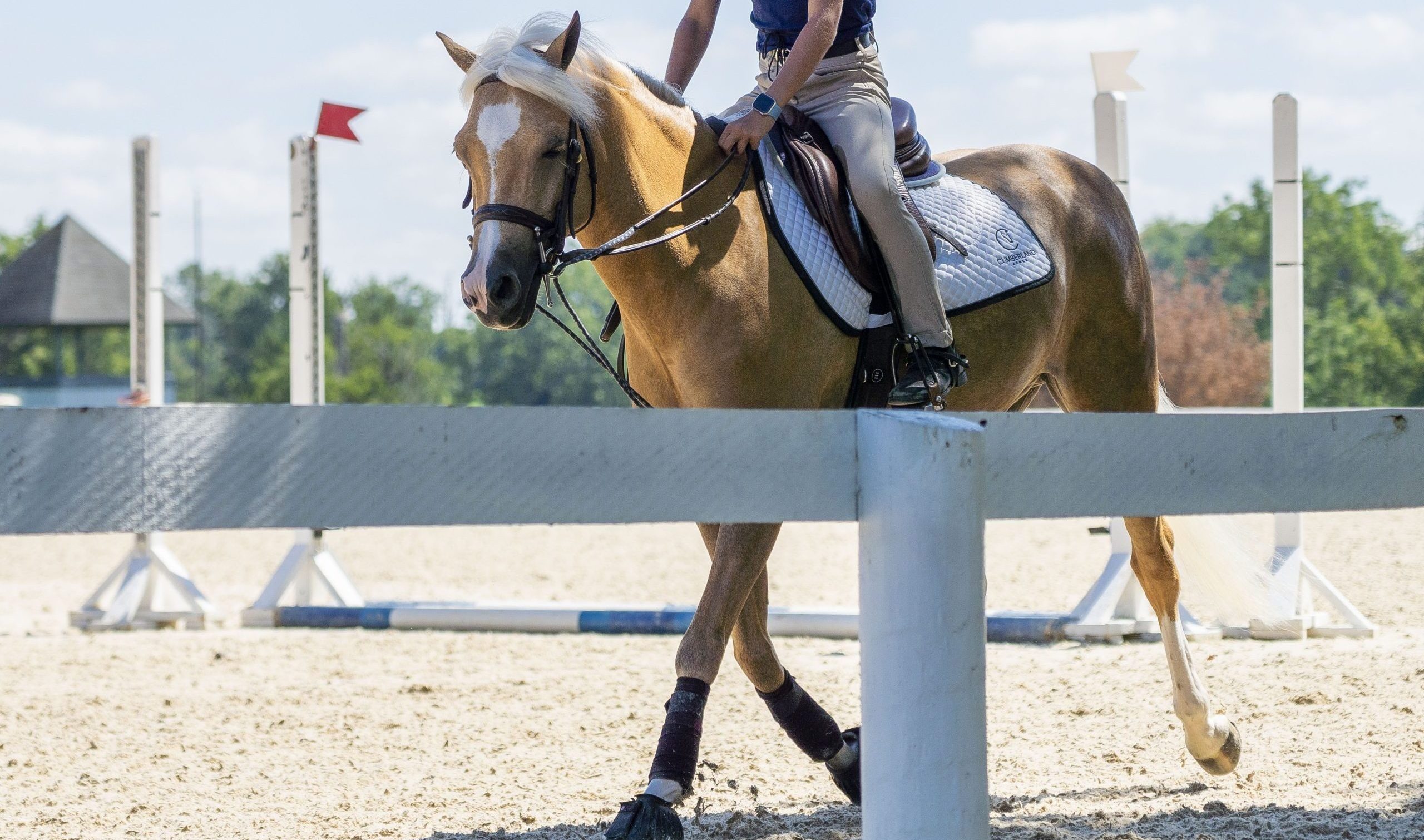 Short Stirrup Shouldn't Require Lead Changes - The Plaid Horse Magazine