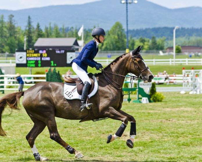 Trainer Tuesday: On a more forward horse that has its own engine, how ...