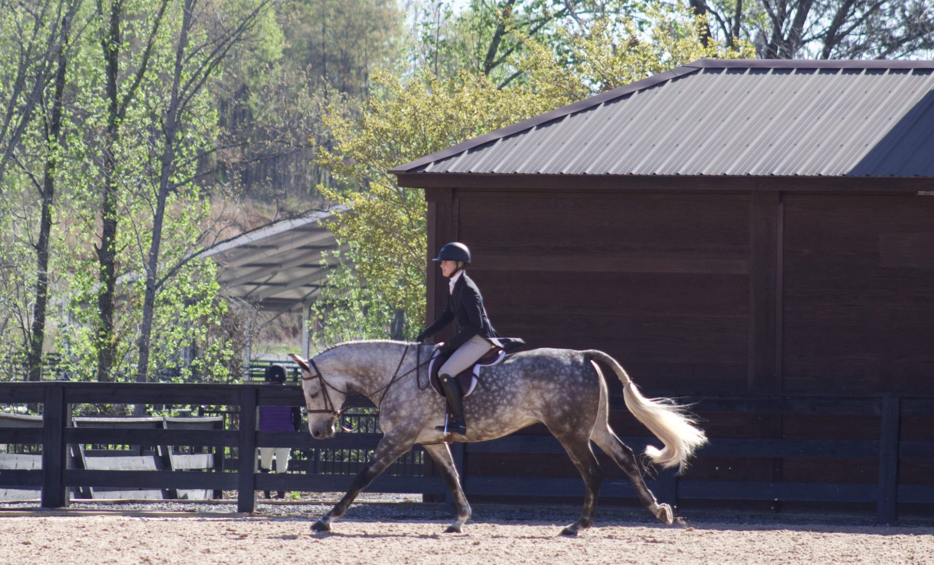 Trainer Tuesday: If you trained a horse who was an average mover, how ...