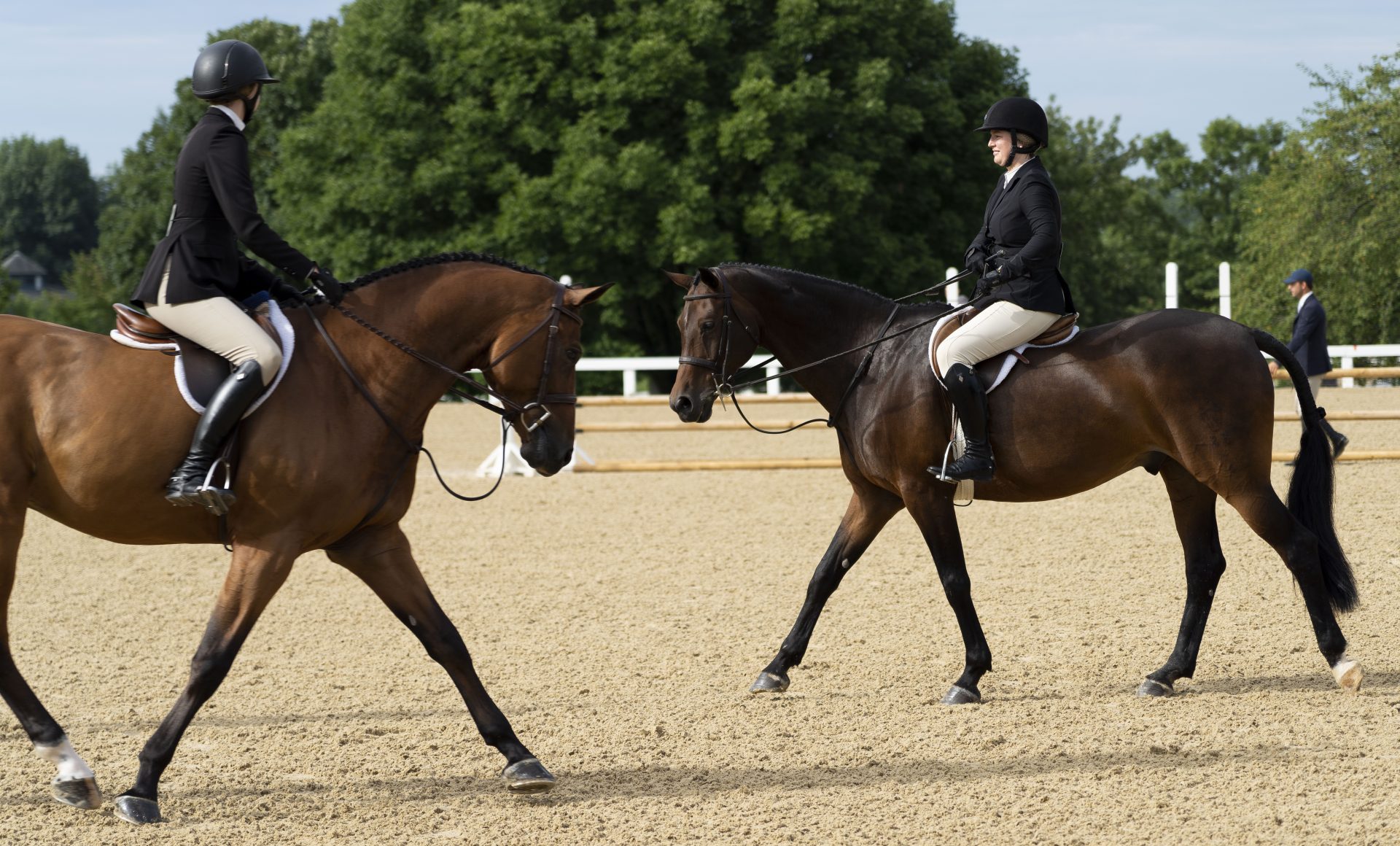 Teach Traffic Rules: It’s Getting Dangerous - The Plaid Horse Magazine