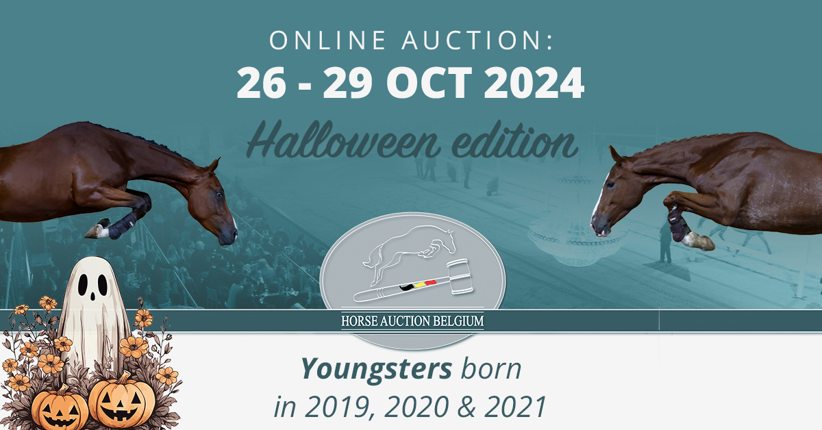 Wool vs Foam Flocking: What Does It Mean for Your Saddle? - The Plaid ...