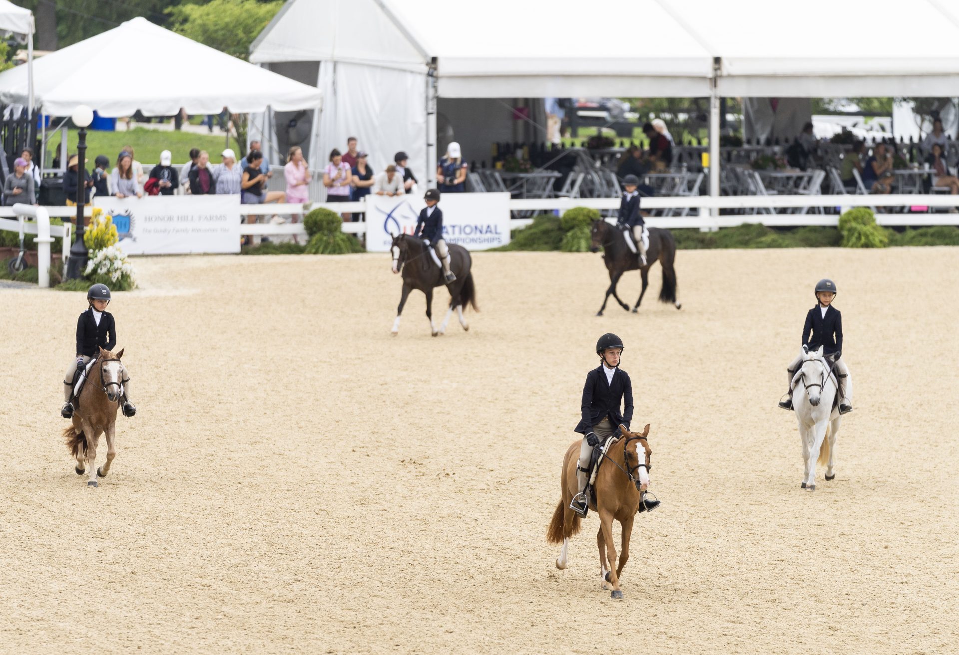 How to Qualify for Pony Finals: In the Hunters, Equitation, and Jumpers ...