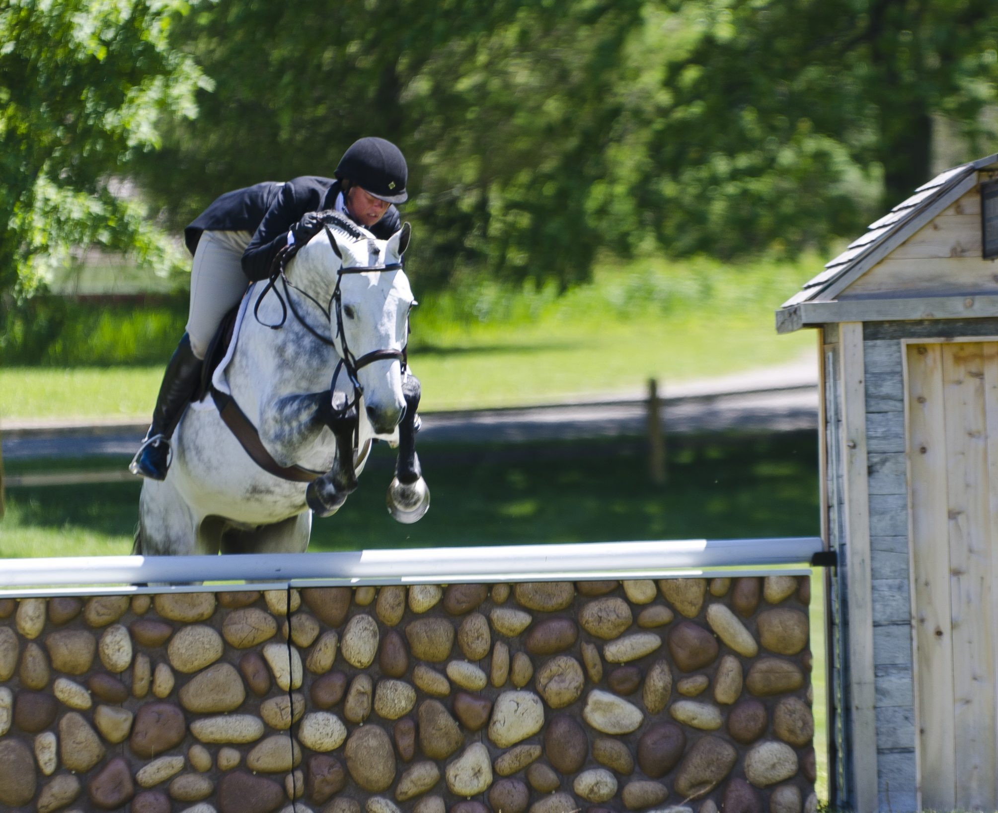 Trainer Tuesday: What are the three key ingredients in a winning hunter ...