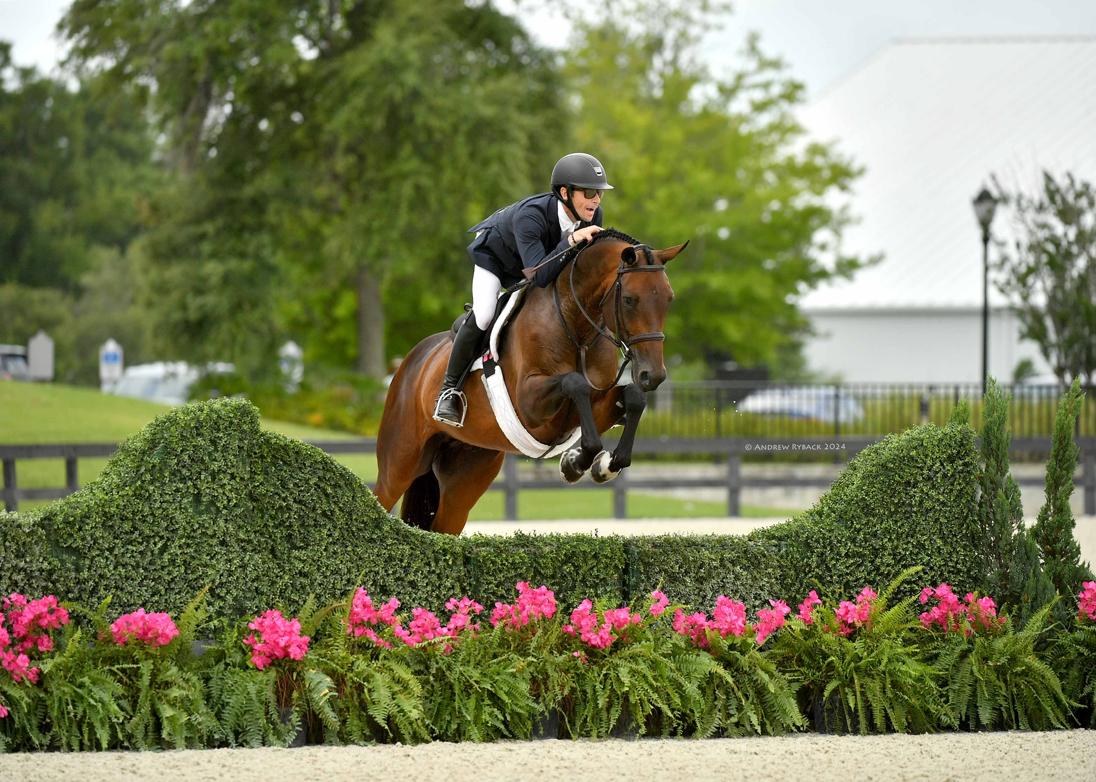 Shane Powell: Rebuilding a Dream - The Plaid Horse Magazine