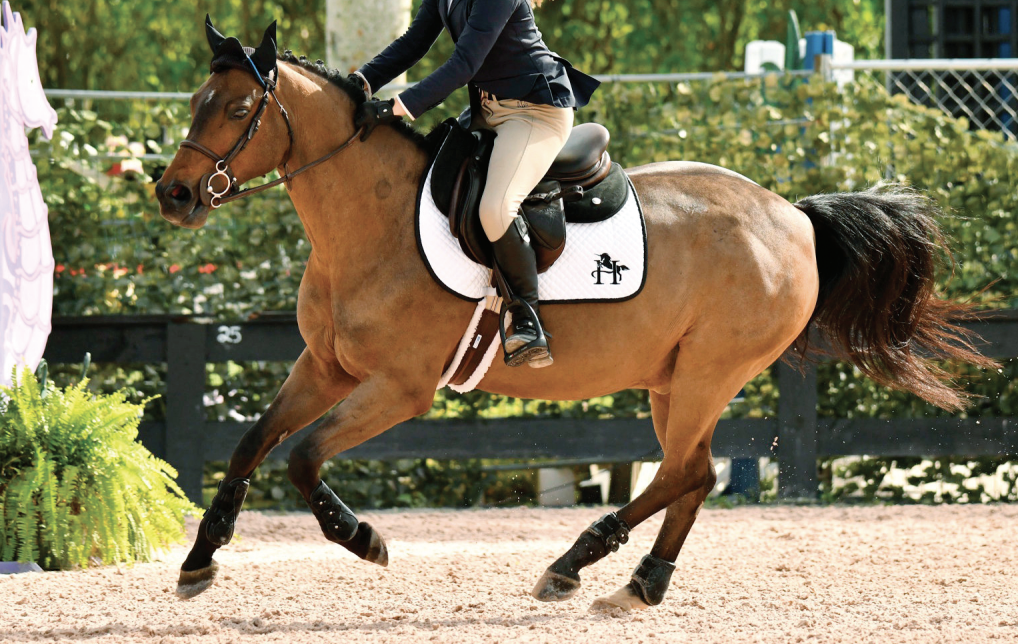 USEF’s New Pony Jumper Categories are Creating a Better Sport - The ...
