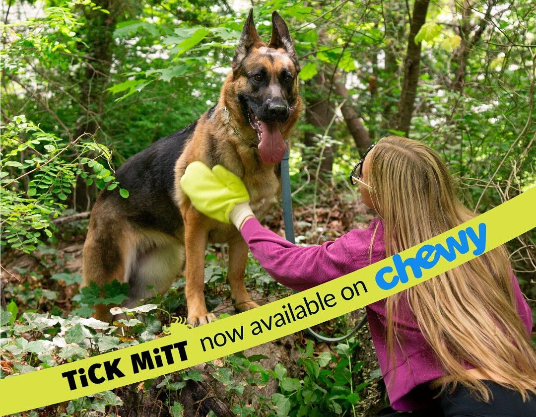 'TiCK MiTT' For Your Mutt as Tick Prevention Mitt, TICK MITT, Launches ...
