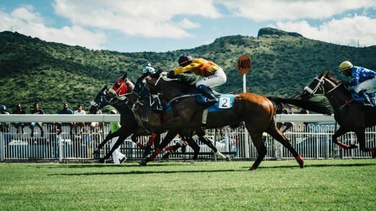 US horse racing: Must-watch events in 2025 - The Plaid Horse Magazine