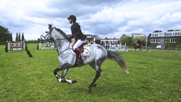 Top Equestrian Competitions to Watch in 2025 - The Plaid Horse Magazine