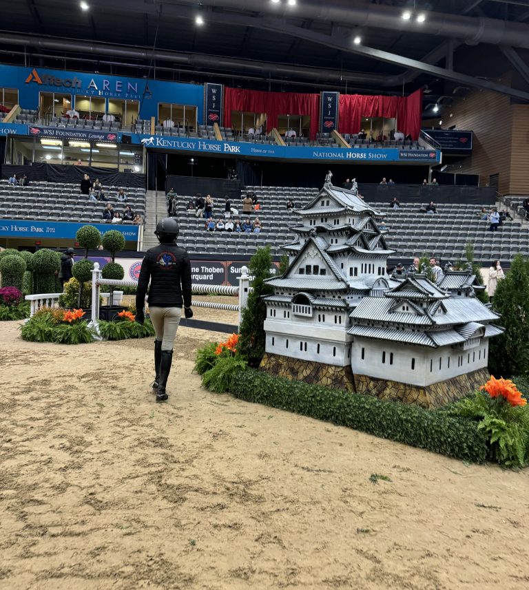 Which Jump is Best: Walk the 2024 ASPCA Maclay Finals Course - The ...