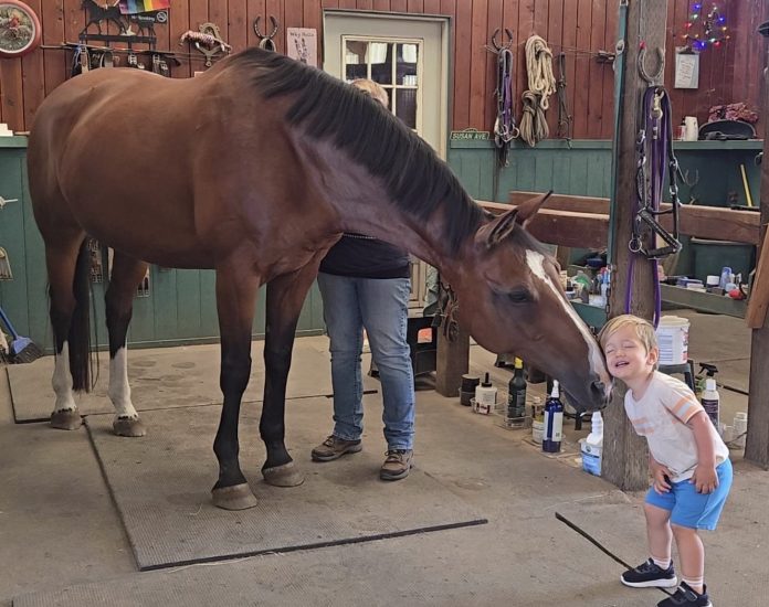 The “H” Gene: A Story of Inspiration and Gratitude - The Plaid Horse ...