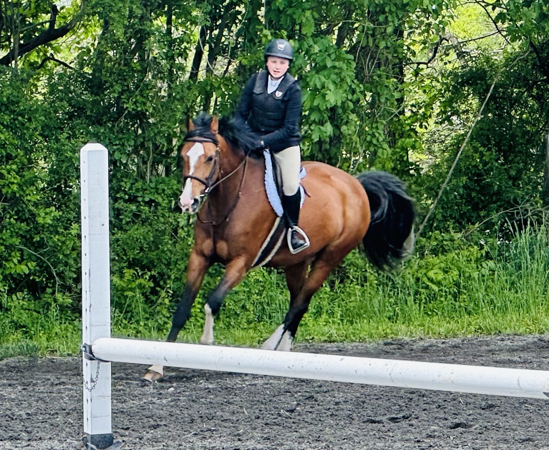 The “Me First” Mentality: Selling Horses on a First Come, First Served ...