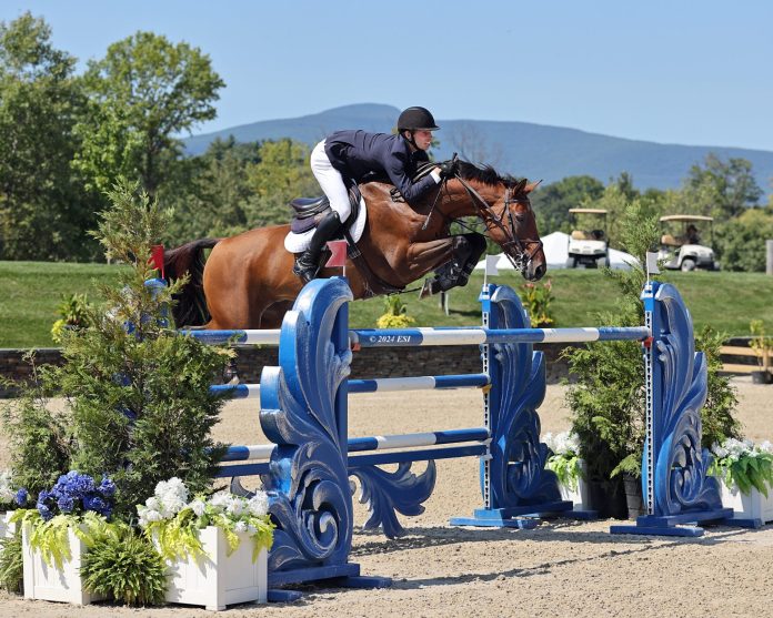 Plaidcast 409: Alex Matz by Taylor, Harris Insurance Services - The ...