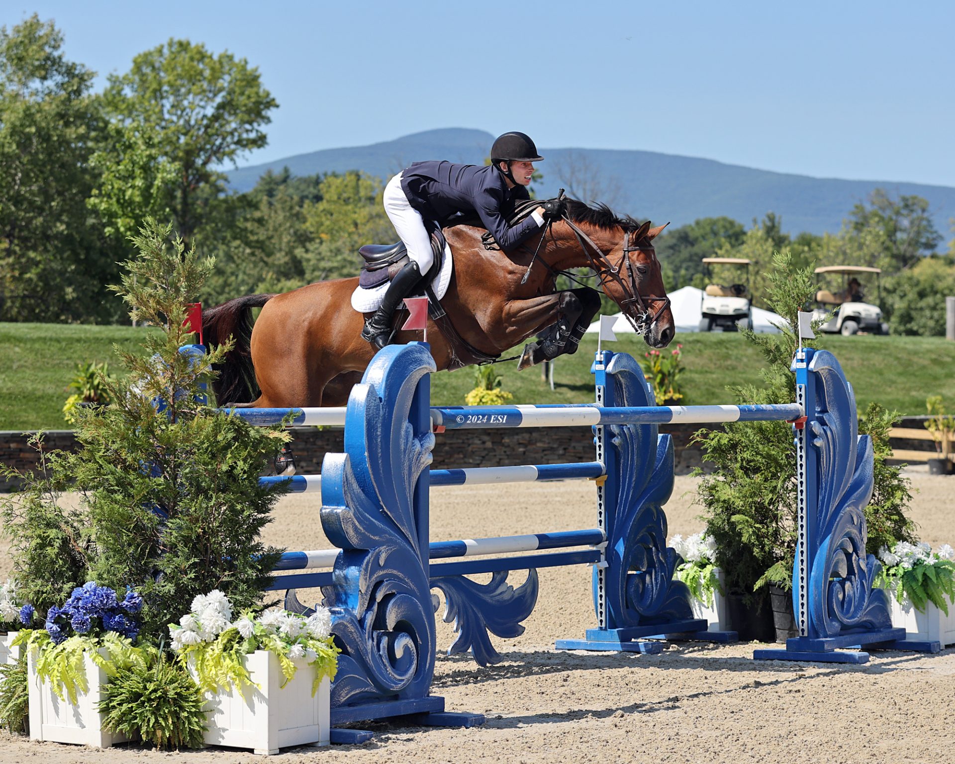 Plaidcast 409: Alex Matz by Taylor, Harris Insurance Services - The ...