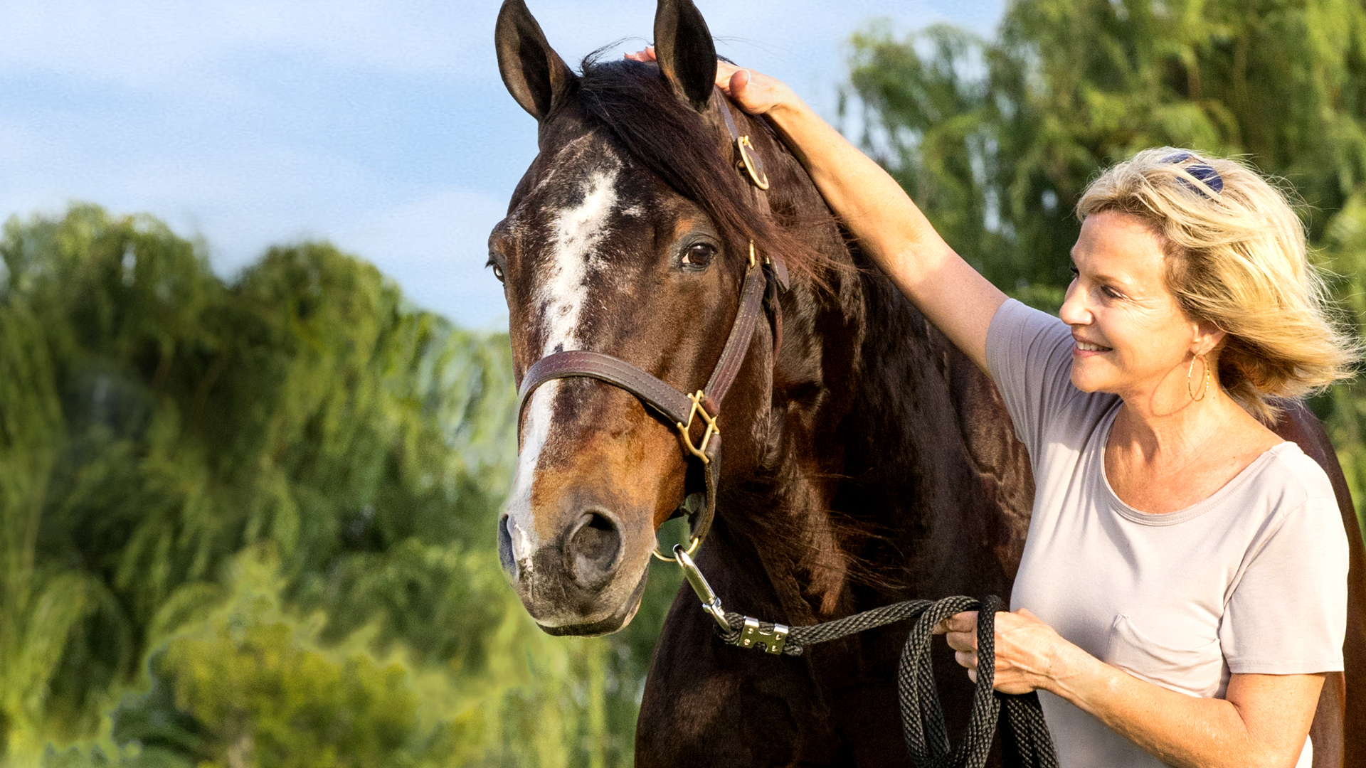 Purina Animal Nutrition Announces Ambition for Every Horse in America ...