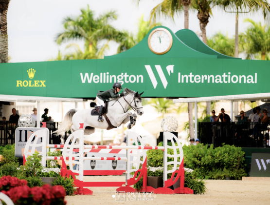 Special Plaidcast: Murray Kessler by Taylor, Harris Insurance Services ...