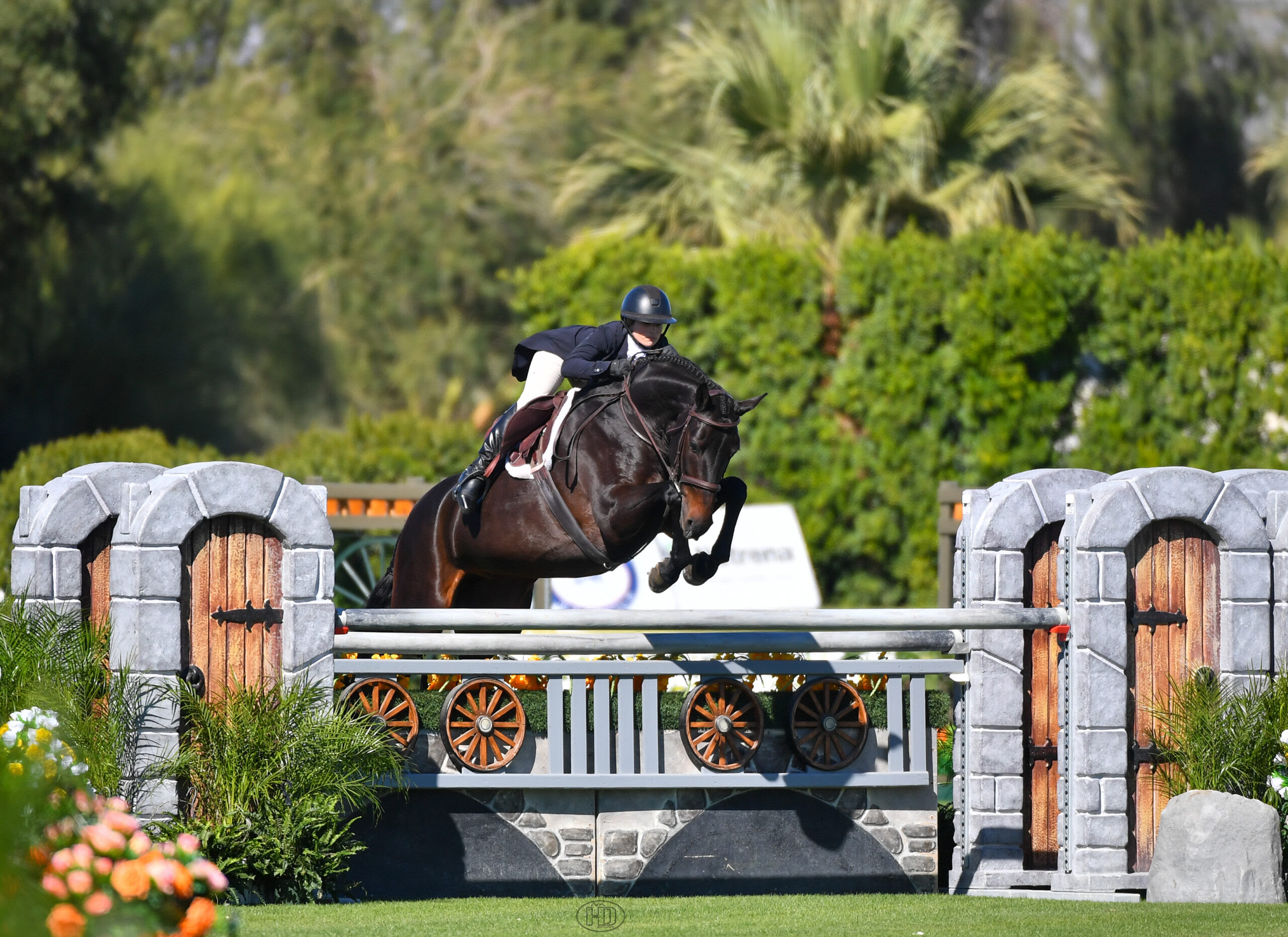 Alexandra Pielet Pilots Vex Freedom to $65,000 USHJA International ...