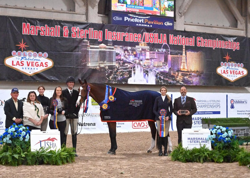 Reputation and Goodwin Grab Grand Green Hunter Honors at 2024 Marshall ...