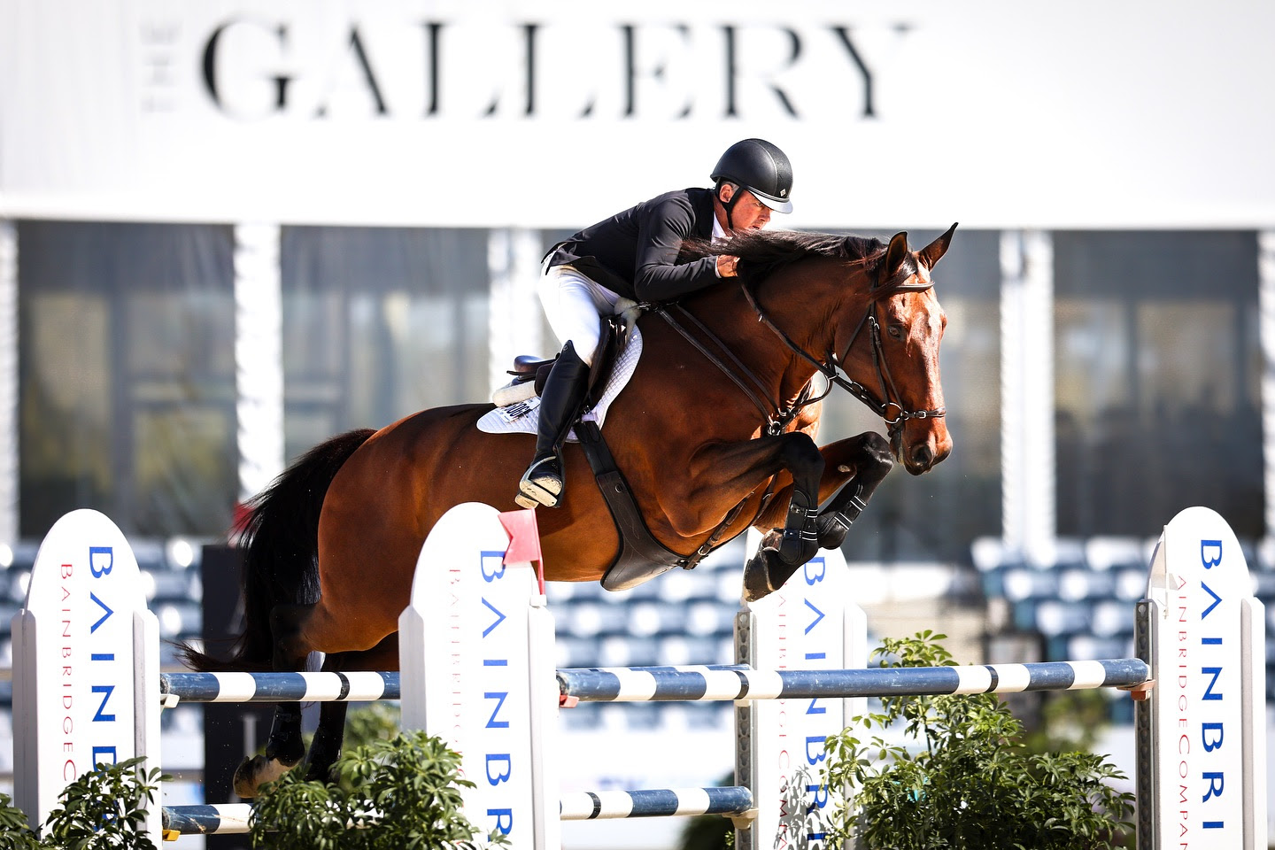 Will Simpson Goes for Two in Palm Beach Equine Clinic CSI3* Speed at ...