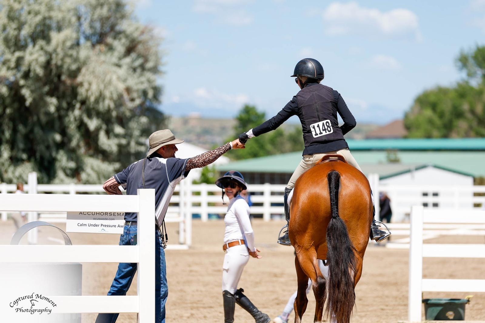 A Tale of Two Horses - The Plaid Horse Magazine